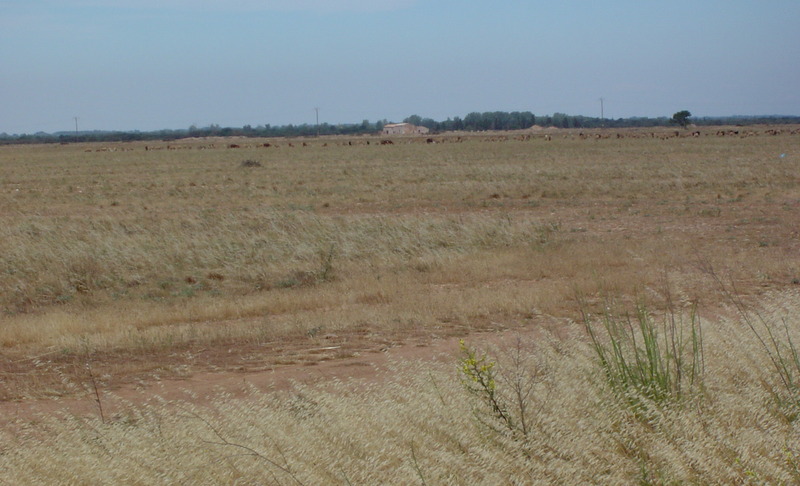 La provence | voyages.visite-de-france.com