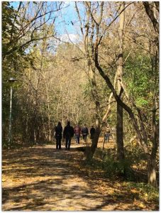 Cedarvale Ravine toronto | voyages.visite-de-france.com